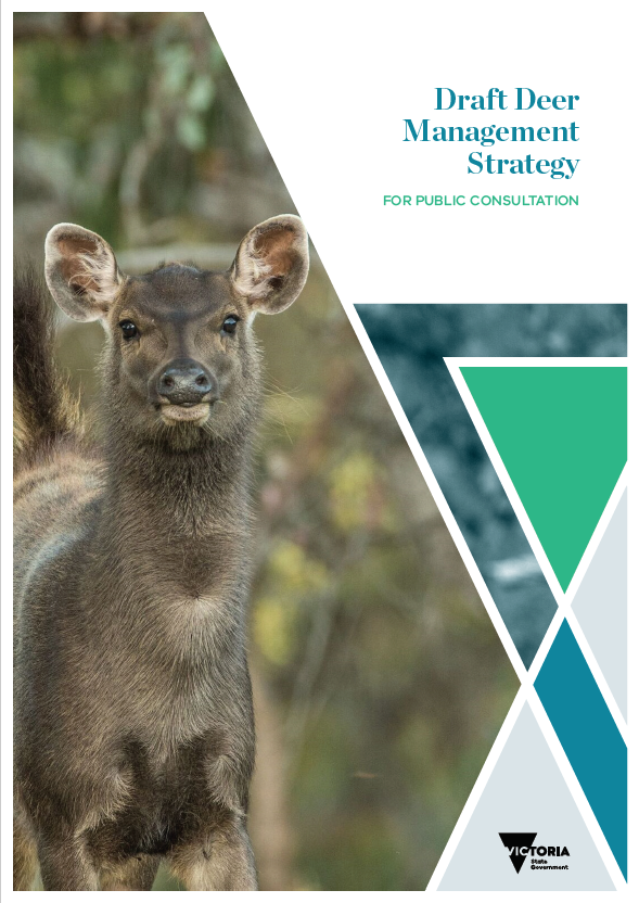 Wild Matters | Deer management in Victoria
